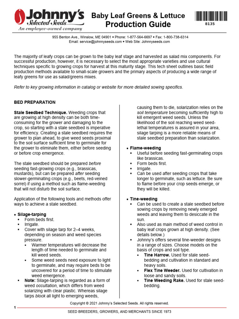 Baby Leaf Greens Production Guide | PDF | Seed | Leaf Vegetable