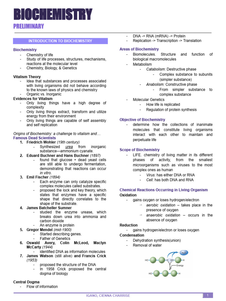 Biochem Transes | PDF