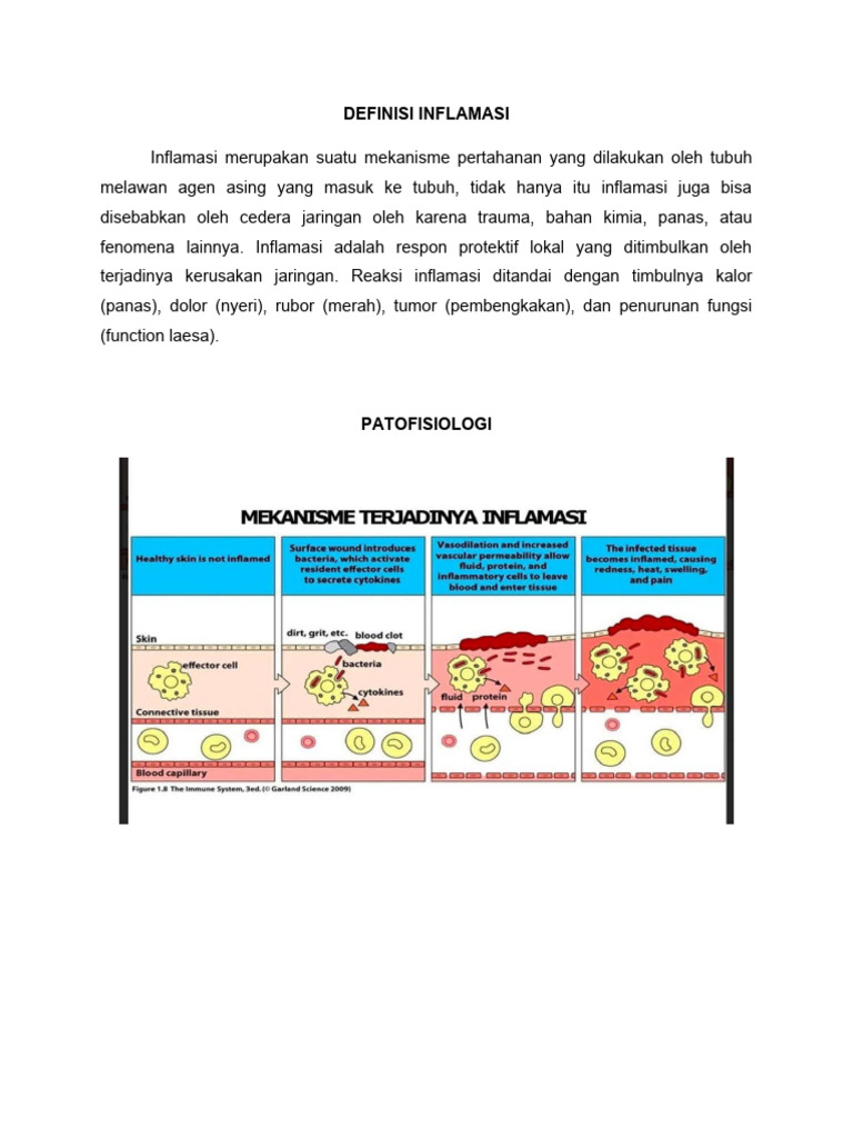 Definisi dan Proses Inflamasi Tubuh | PDF | Sains & Matematika
