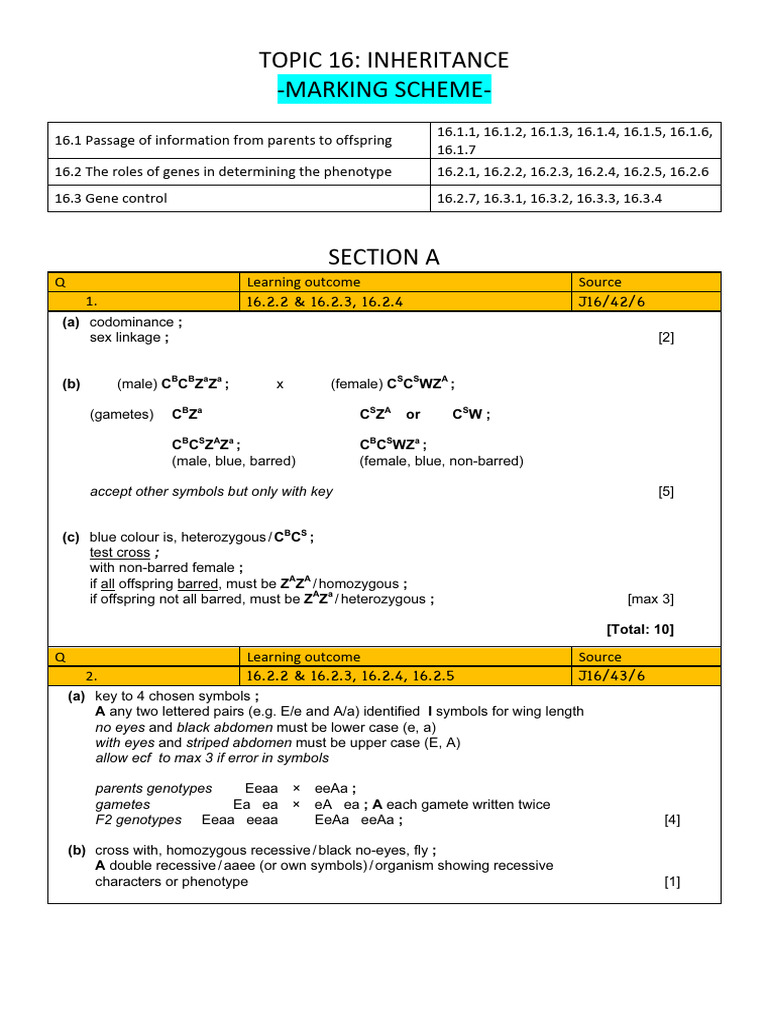 Ms Paper 4 Topic 16 Inheritance j16-n22 | PDF | Ploidy | Meiosis