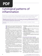 Cytologic Patterns - Eclinpath | PDF | Inflammation | Macrophage