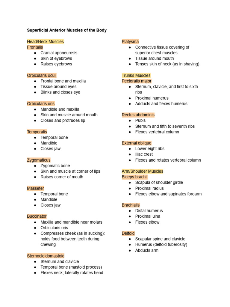 ANAPHY - The Muscular System | PDF