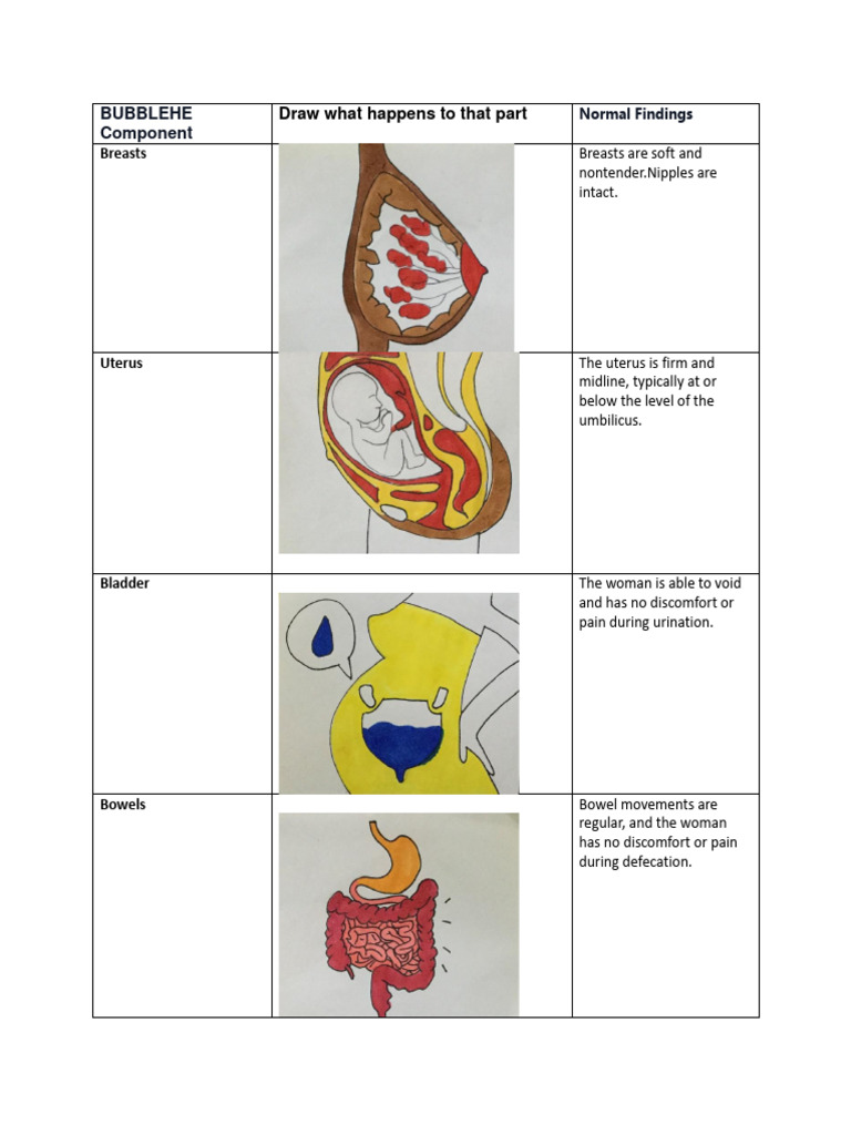 BUBBLEHE | PDF | Self-Improvement