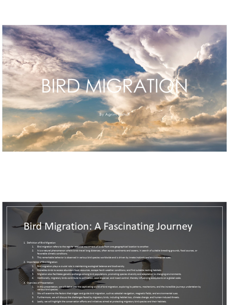 Bird Migration | PDF | Bird Migration | Birds