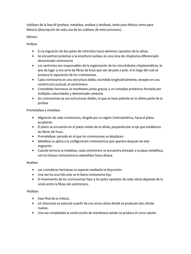 Subfases de La Fase M | PDF | Mitosis | Mitosis