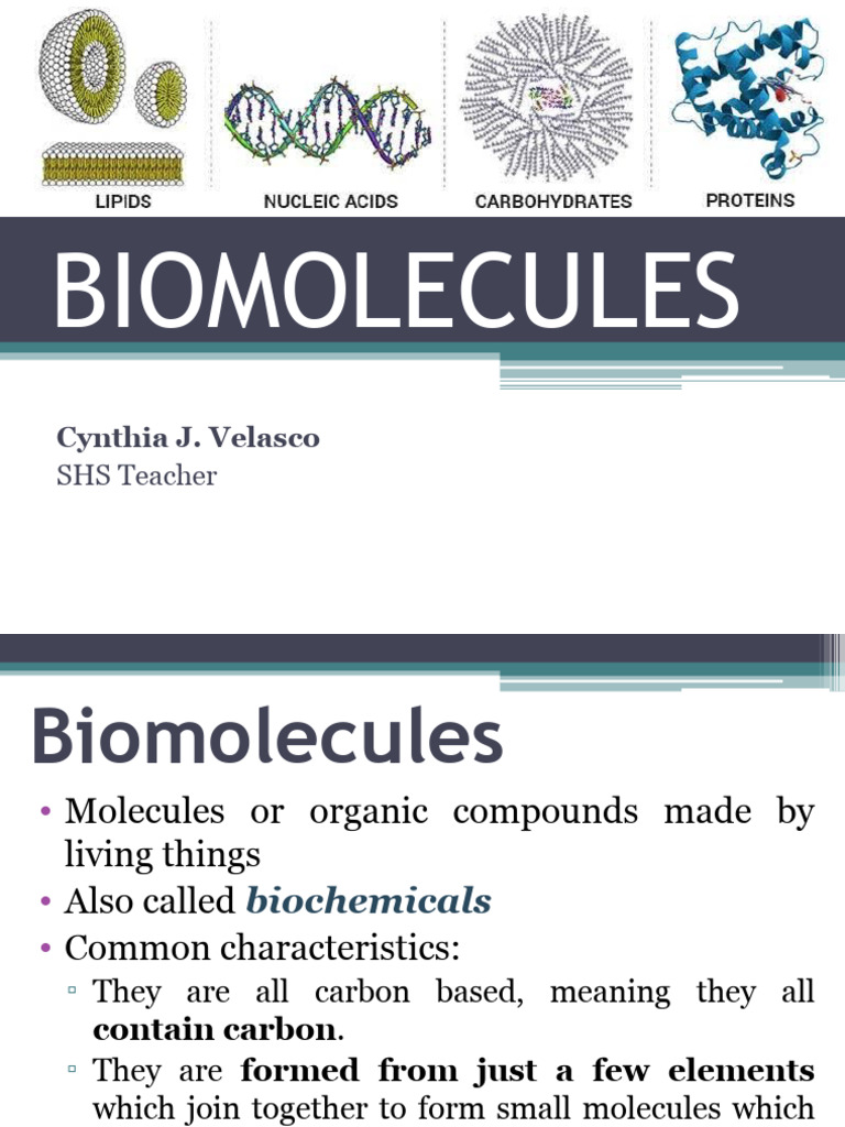 4 Biomolecules | PDF | Carbohydrates | Biomolecules
