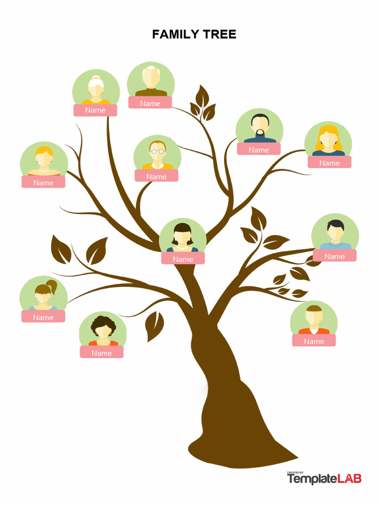 Family Tree: Name Name | PDF | Language Arts & Discipline