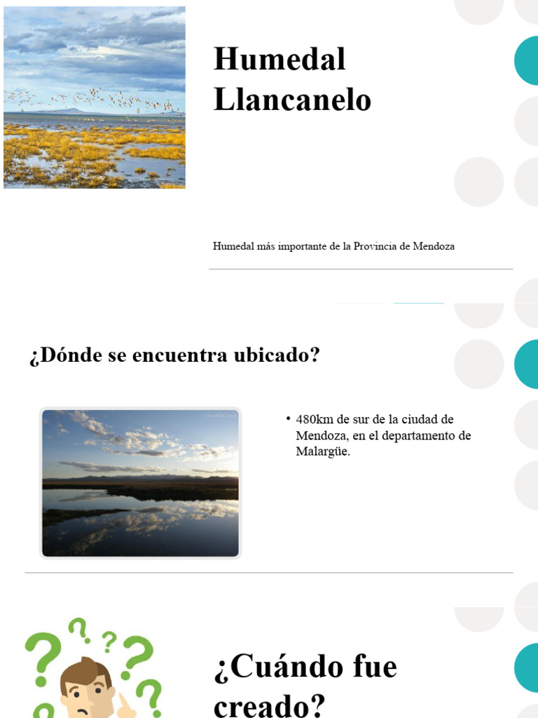 Humedal Llancanelo | PDF | Ciencias de la Tierra | Geografía Física