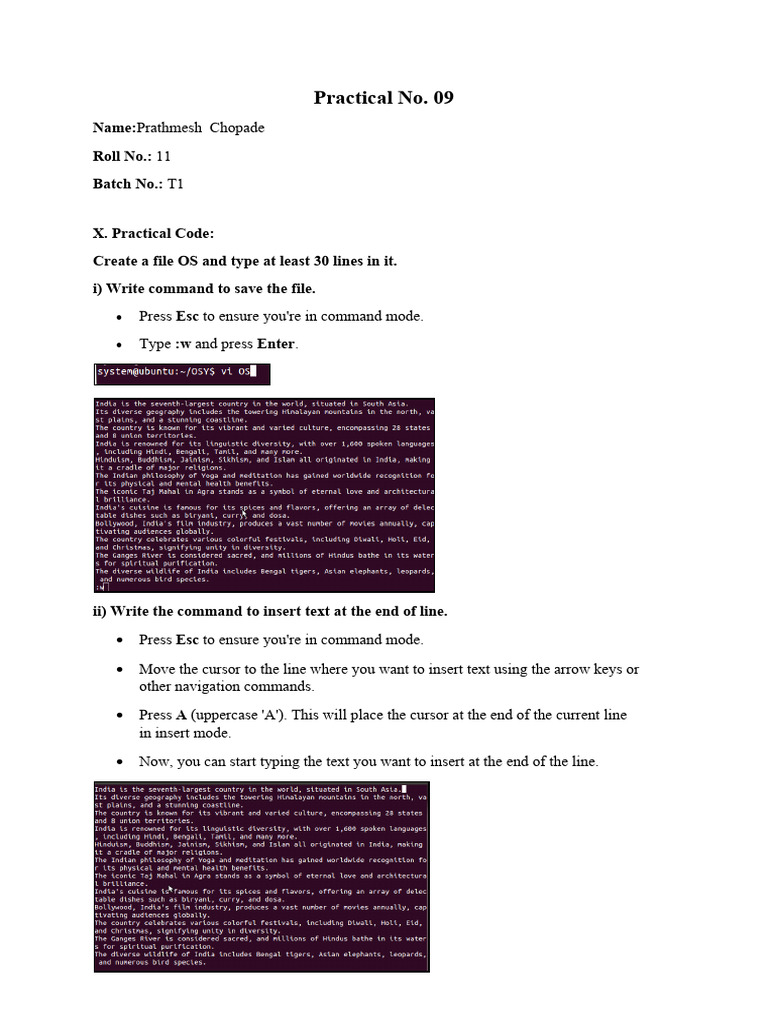 OSY 09ptttc | PDF | Cursor (User Interface) | Computer File