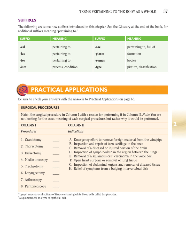 CHAPTER 2-The Language of Medicine | PDF | Human Body | Vertebral Column