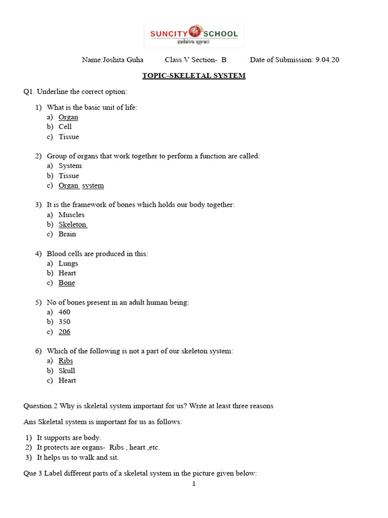 Skeletal System ASSIGNMENT | PDF