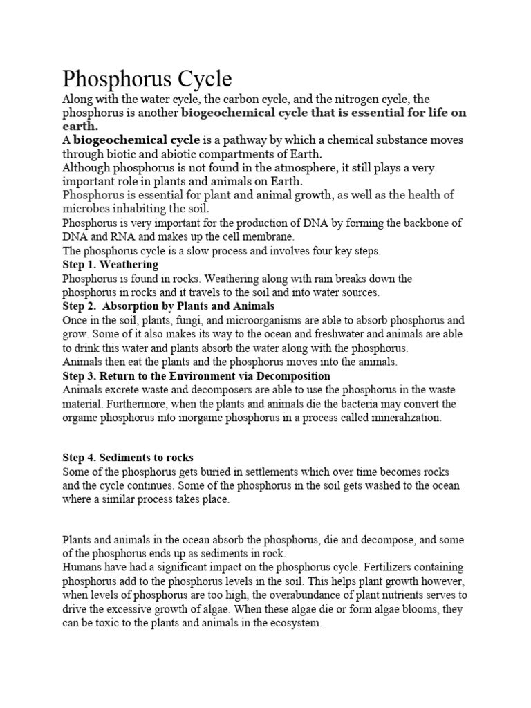 Phosphorus Cycle | PDF | Soil | Earth Sciences