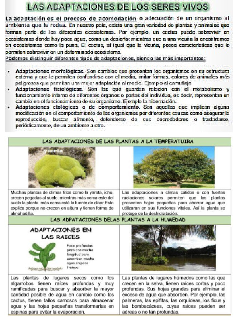Adaptaciones de Los Seres Vivos | PDF