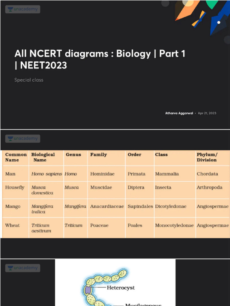All NCERT Diagrams Biology Par No Anno 1698234362298 | PDF