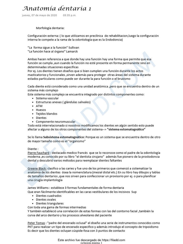 Morfología de Surcos Dentales | PDF | Diente | Anatomia dental