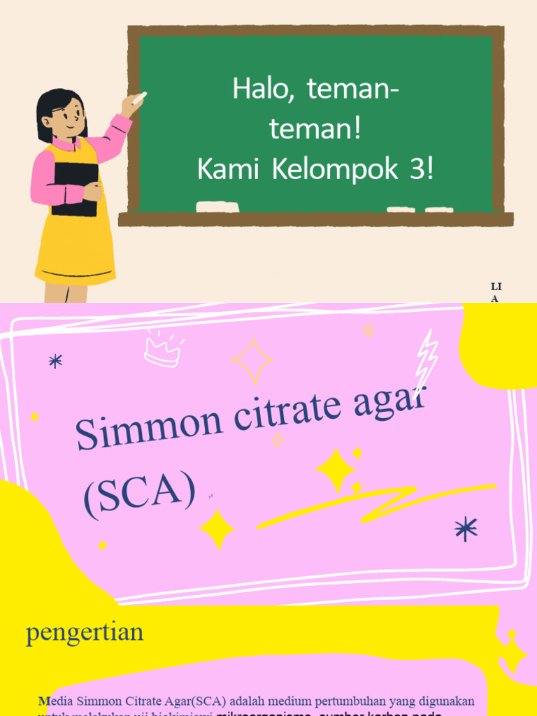 SCA Donna | PDF