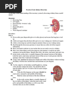 Kidney Dissection Practical Sheet | PDF | Kidney | Organ (Anatomy)