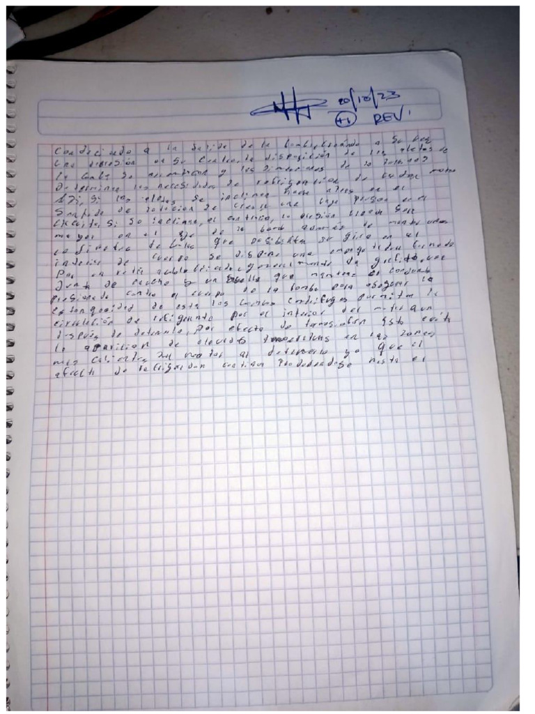 Ines Ayohual Juan David | PDF