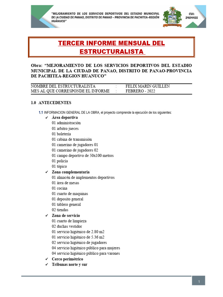 Informe Estructural Panao | PDF | Hormigón | Ingeniería estructural