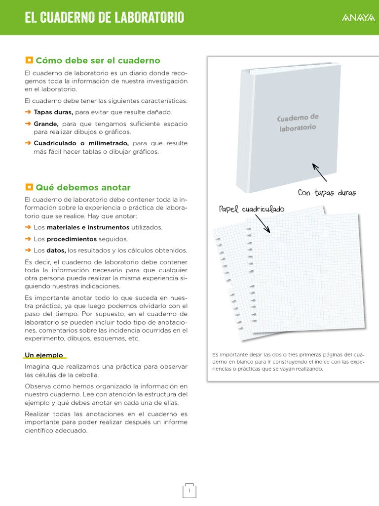 Cuaderno Laboratorio | PDF | Cuaderno | Laboratorios