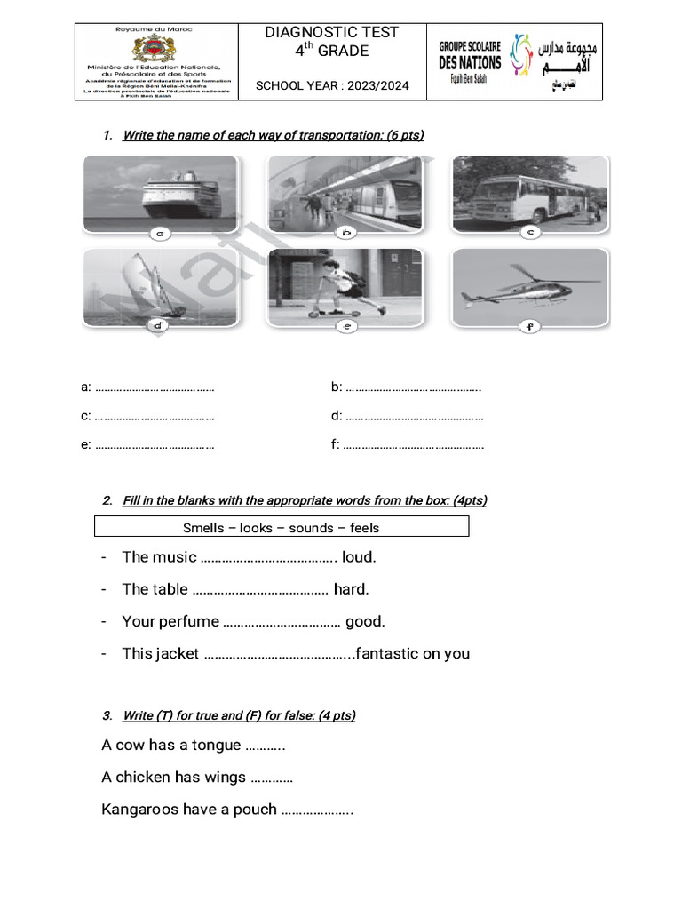 Diagnostic Test 4th Grade | PDF