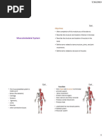 List of 206 Human Bones Labeled | PDF | Anatomical Terms Of Location ...