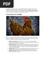 Taxonomía y características de la gallina | PDF | Pollo | Ornitología