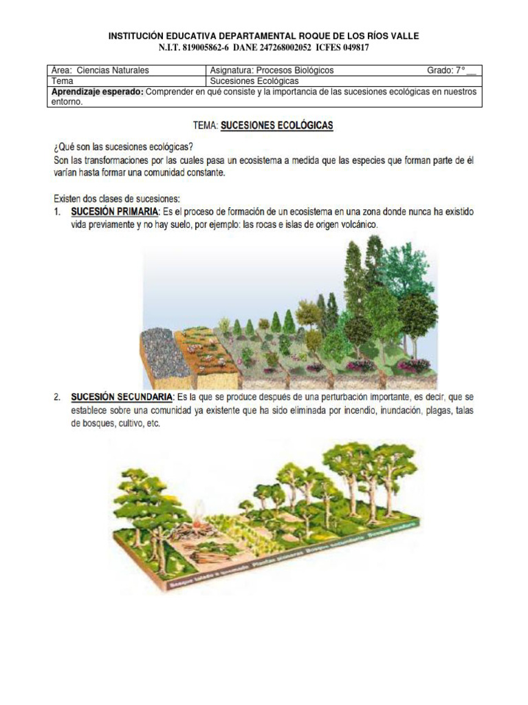 Sucesiones Ecológicas: Primarias y Secundarias | PDF