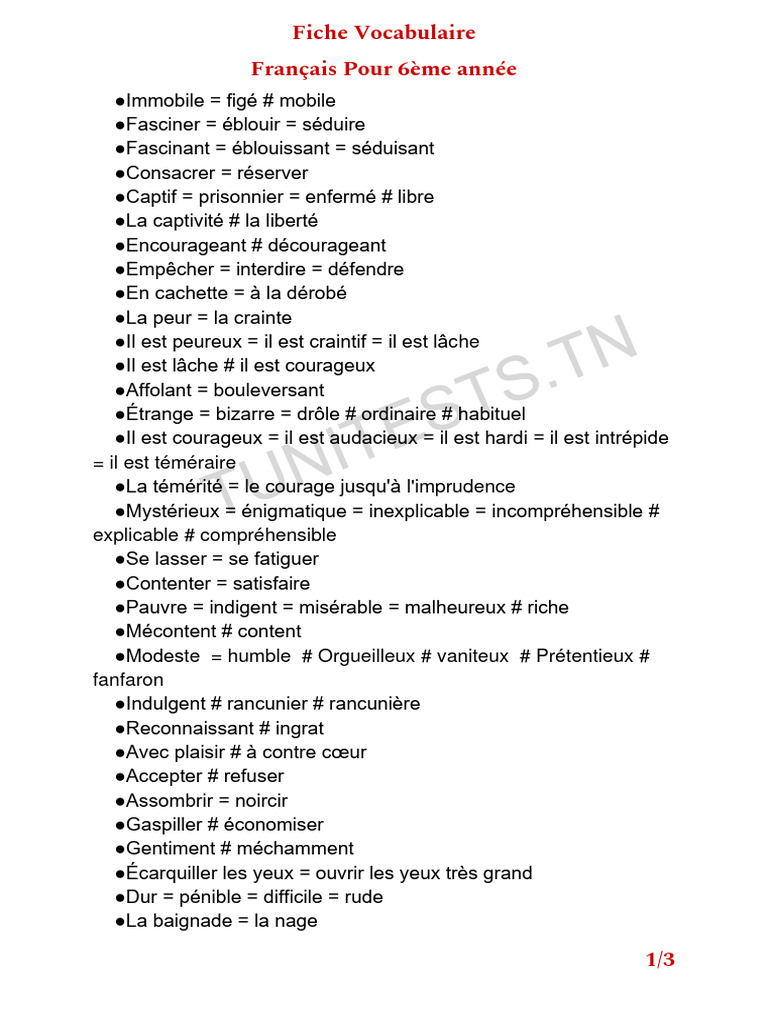 Vocabulaire Français pour 6ème | PDF