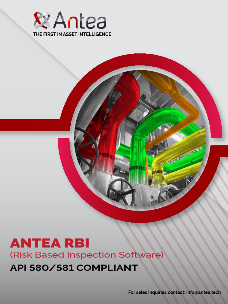 Antea RBI | PDF | Risk | Information Technology