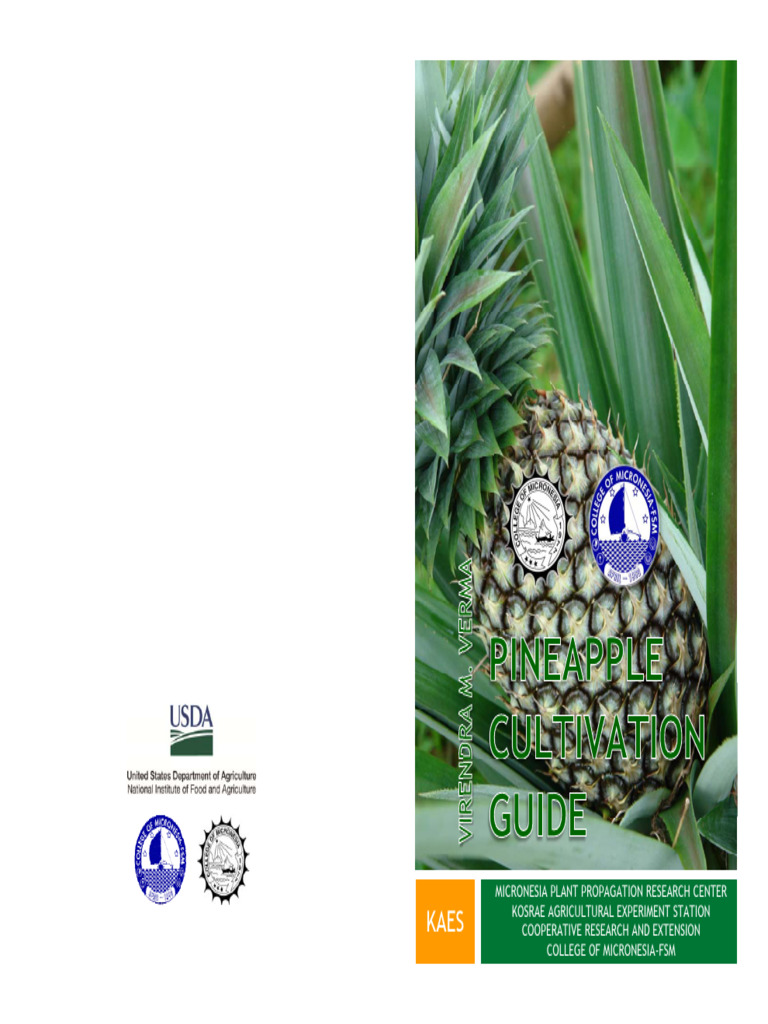 COMFSM Pineapple Cultivation Guide Verma 2018 Updated 03022018 | PDF