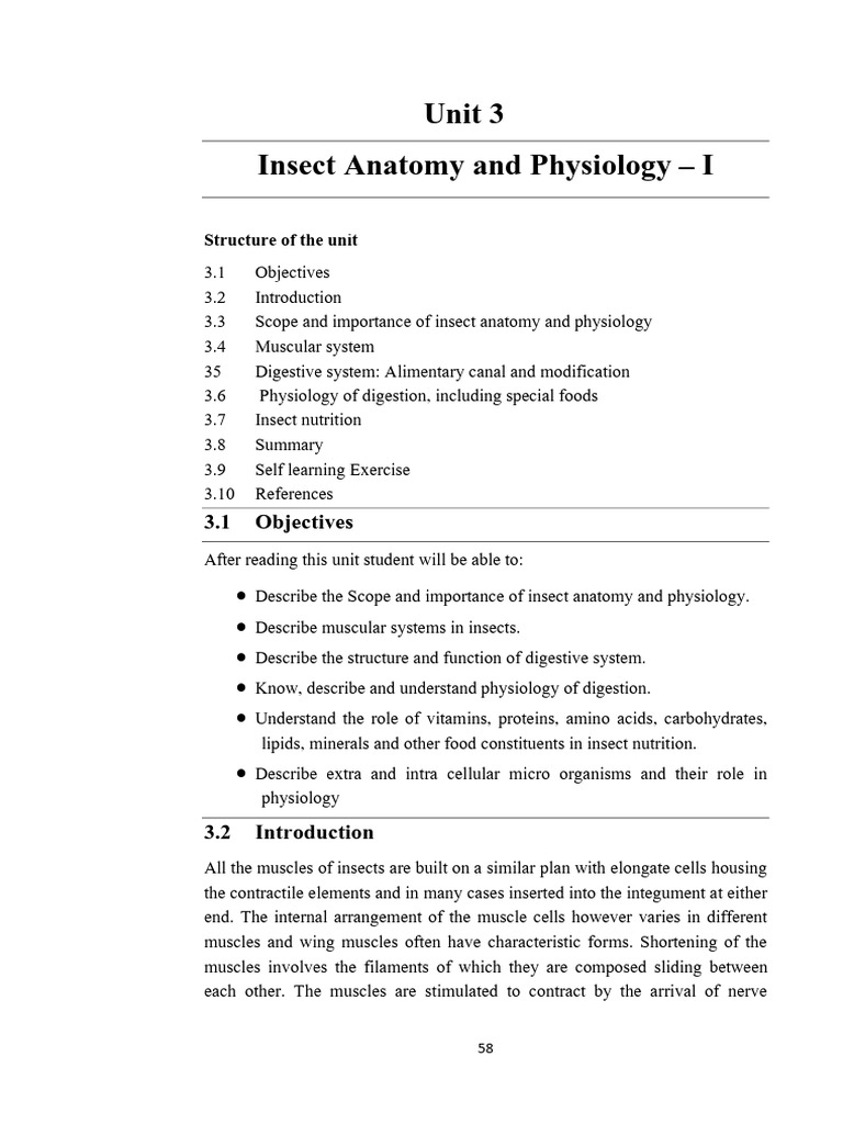 Insect Physiology and Anatomy | PDF | Digestion | Chemical Synapse