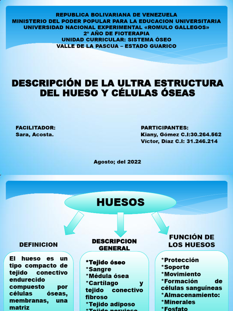 Hueso | PDF | Hueso | Tejido (biología)