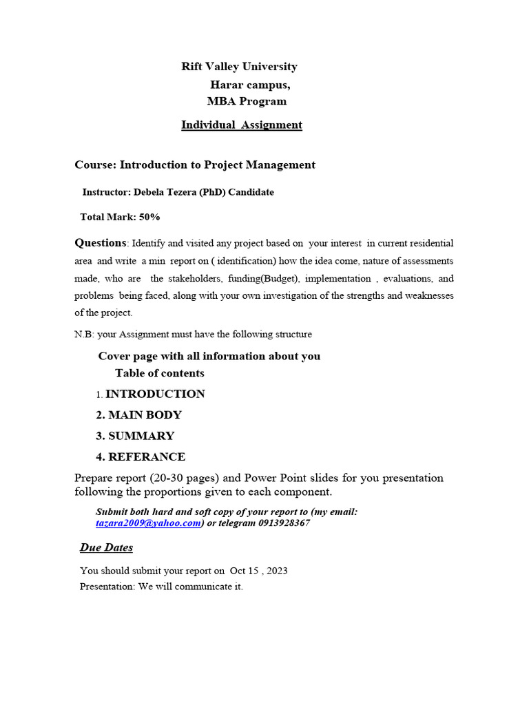 Individual Assignment Project Management | PDF