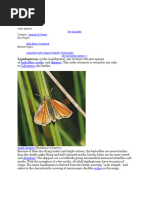 Butterfly Life Cycle and Characteristics | PDF | Butterfly | Insects