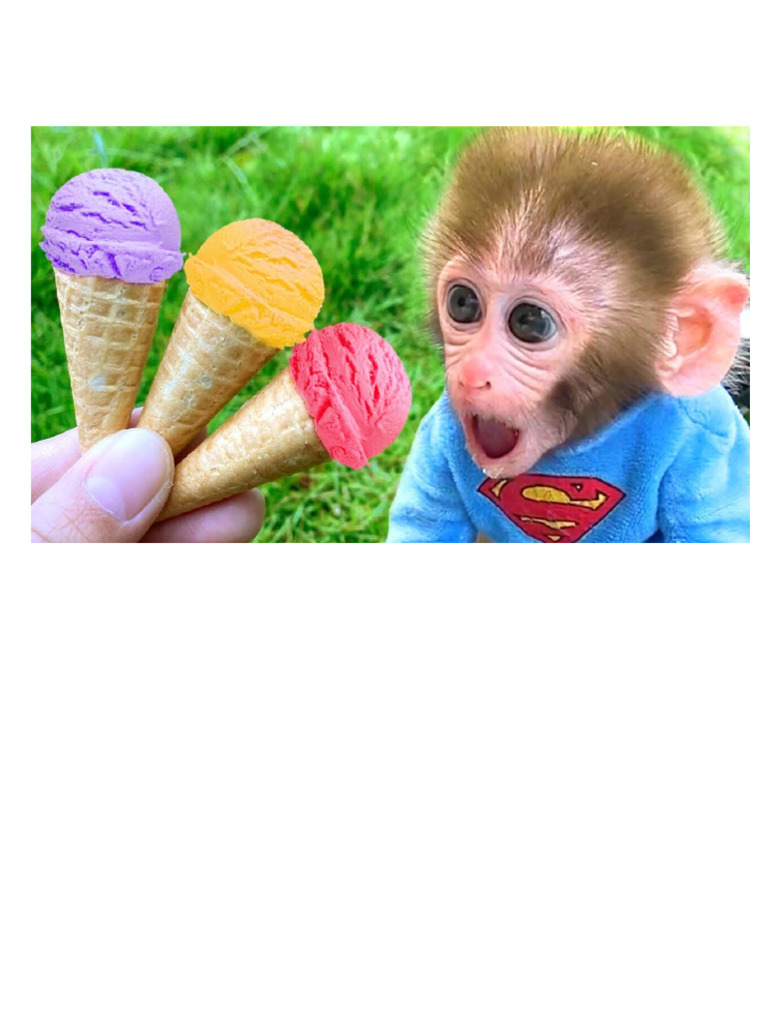 Monkey Eating Ice Cream | PDF