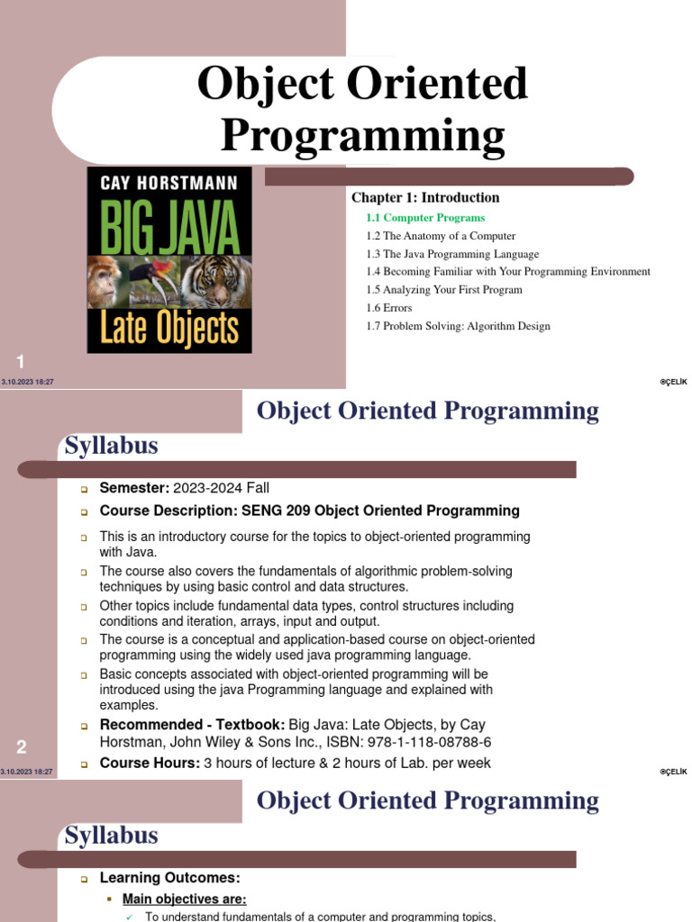 Presentation For Object Oriented Programming | PDF