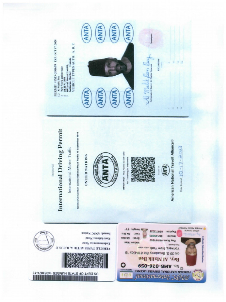 Img - International Driving Permit (IDP) | PDF
