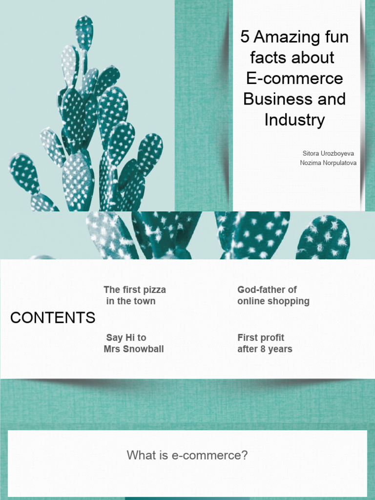 E Commerce | PDF | E Commerce | Service Industries