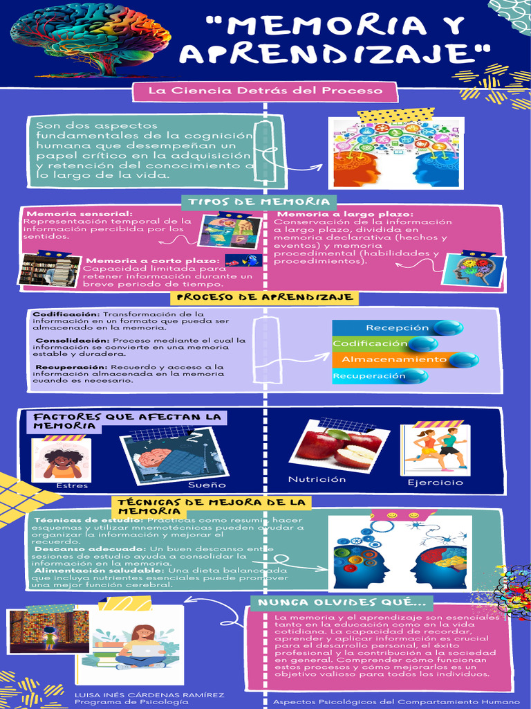 Infografía Memoria y Aprendizaje | Descargar gratis PDF | Memoria | Aprendizaje