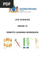 Grade 10 Life Science Remote Workbook | PDF | Food Web | Soil