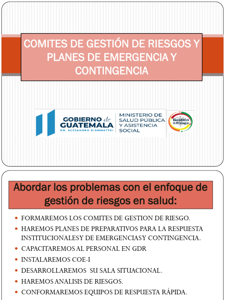 Comites de Gestión de Riesgos y Planes | PDF