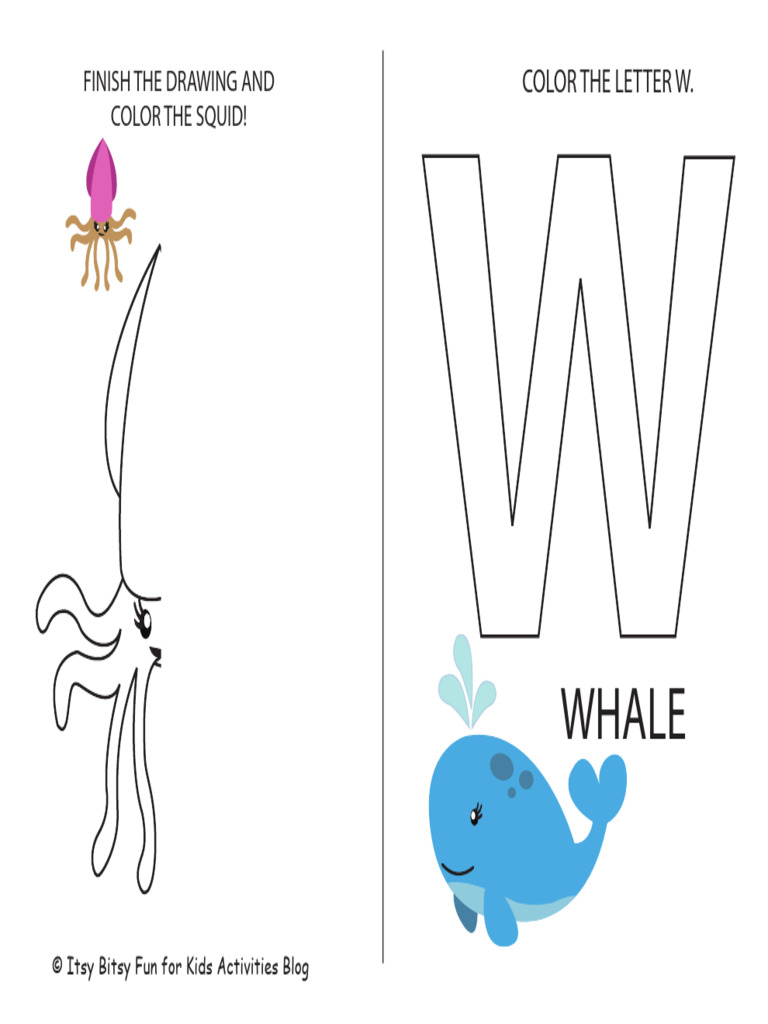 Fun Ocean Activities for Kids | PDF | Whales | Cetaceans