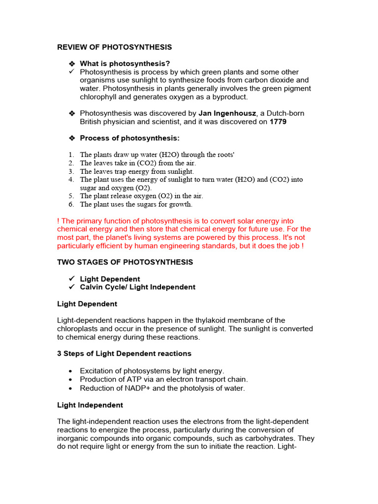 Photosynthesis (Handouts) | PDF | Photosynthesis | Chlorophyll