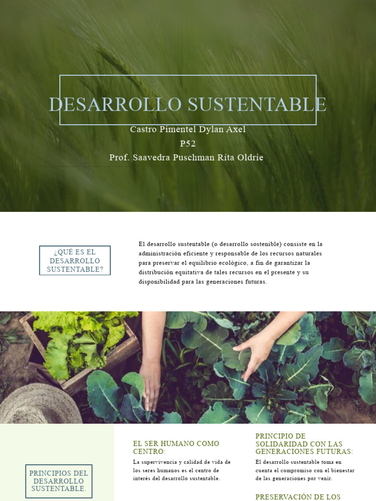 Desarrollo Sustentable | PDF | Desarrollo sostenible | Sustentabilidad