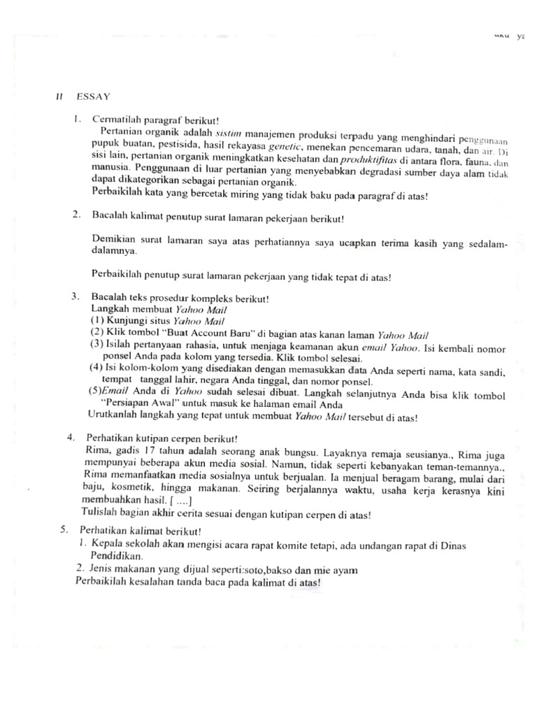 PDF Esay Bahasa Indo | PDF