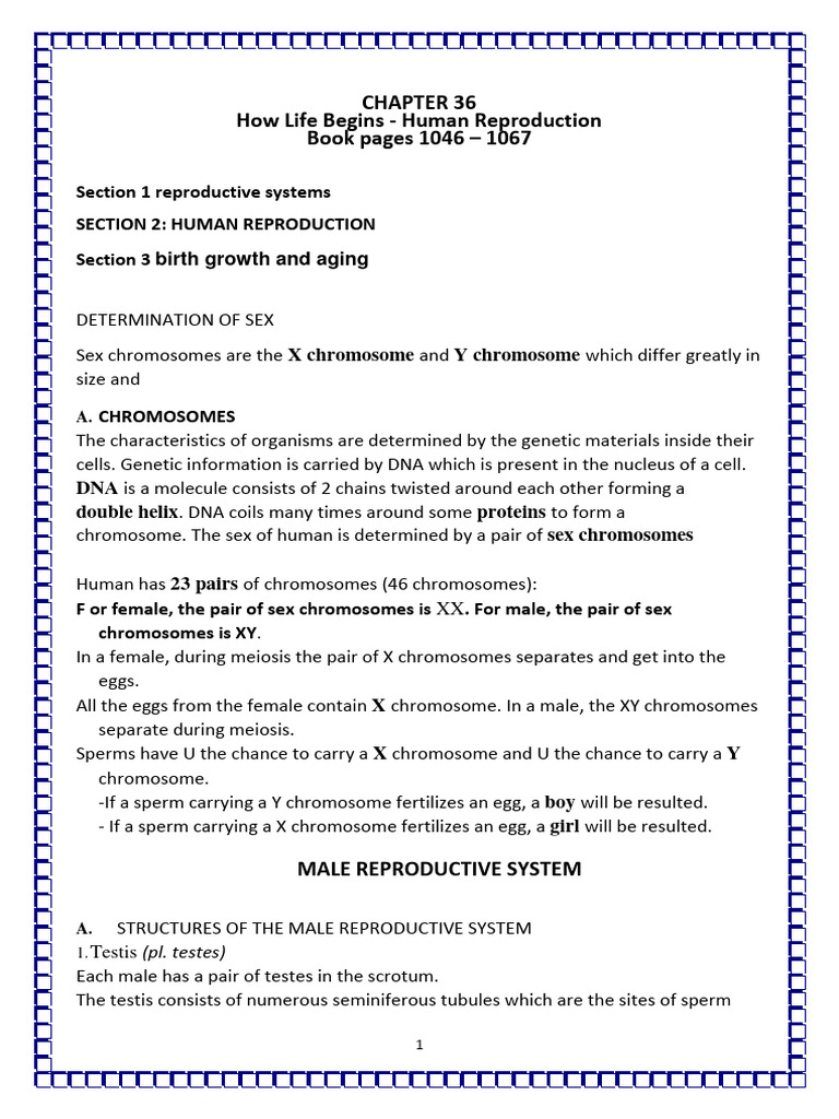 Human Reproduction Unit Review Worksheet | PDF | Wellness | Science ...