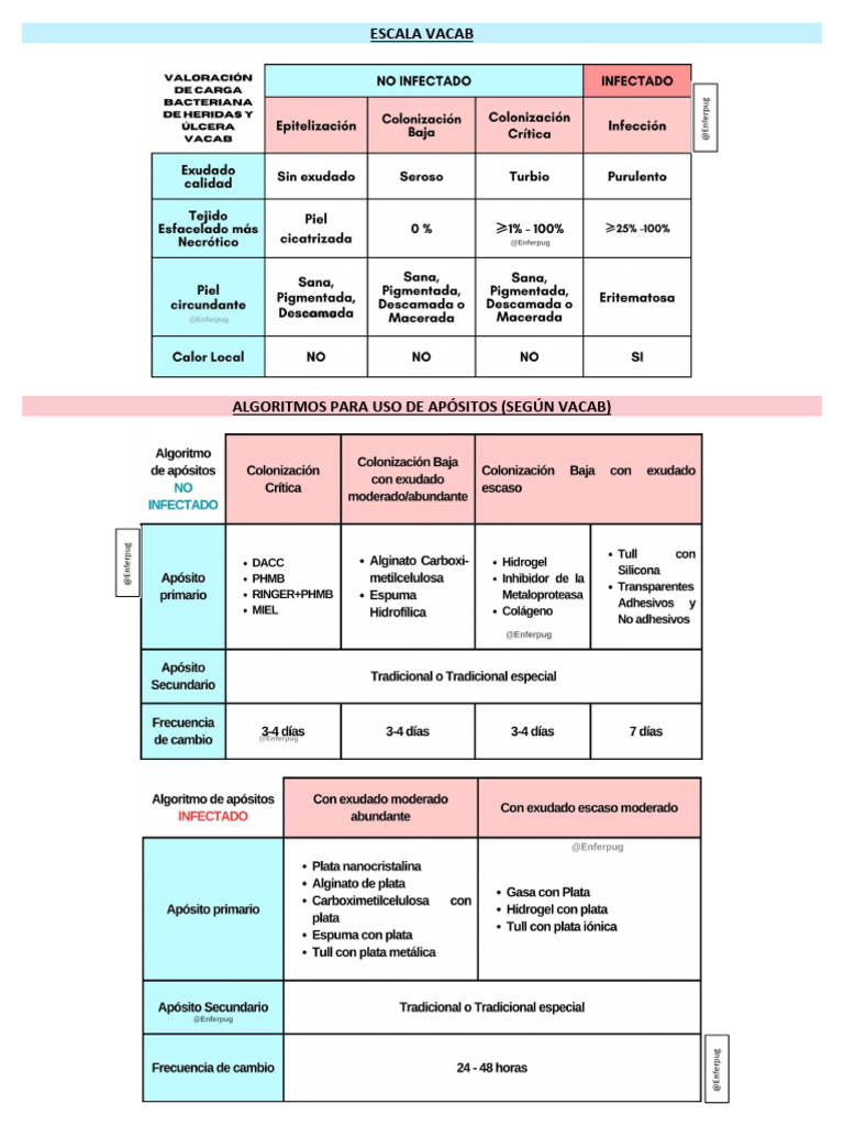 Escala Vacab 2023 | PDF