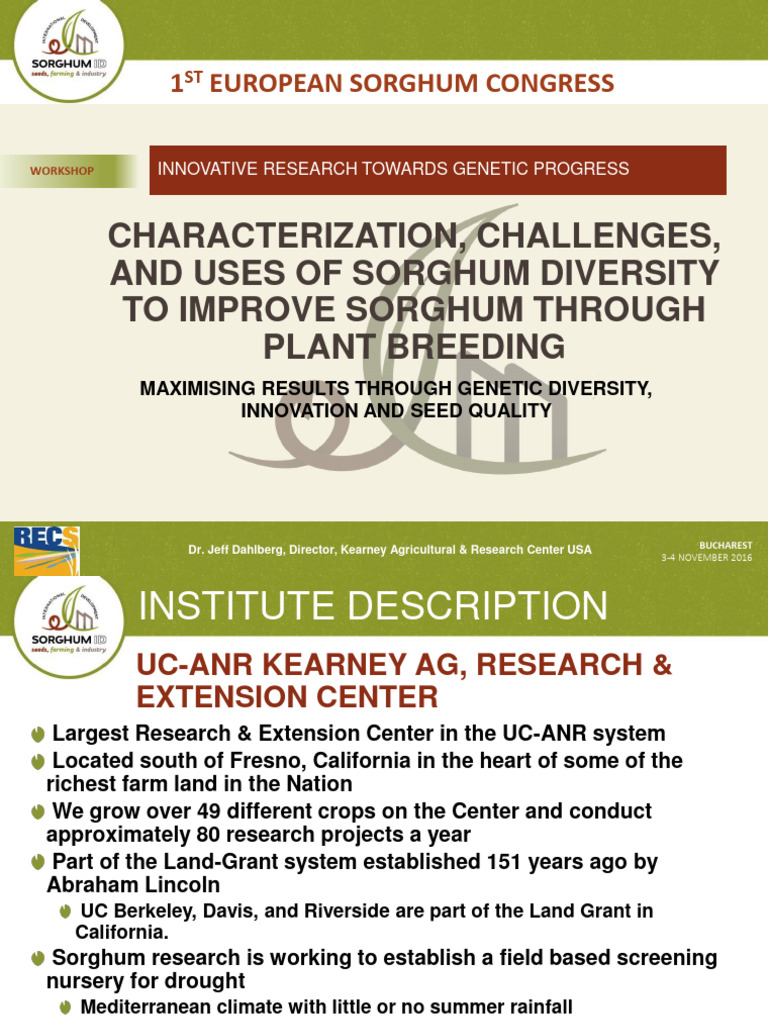 2 1 JD Challenges in Sorghum Seed Breeding Around The World and in The ...