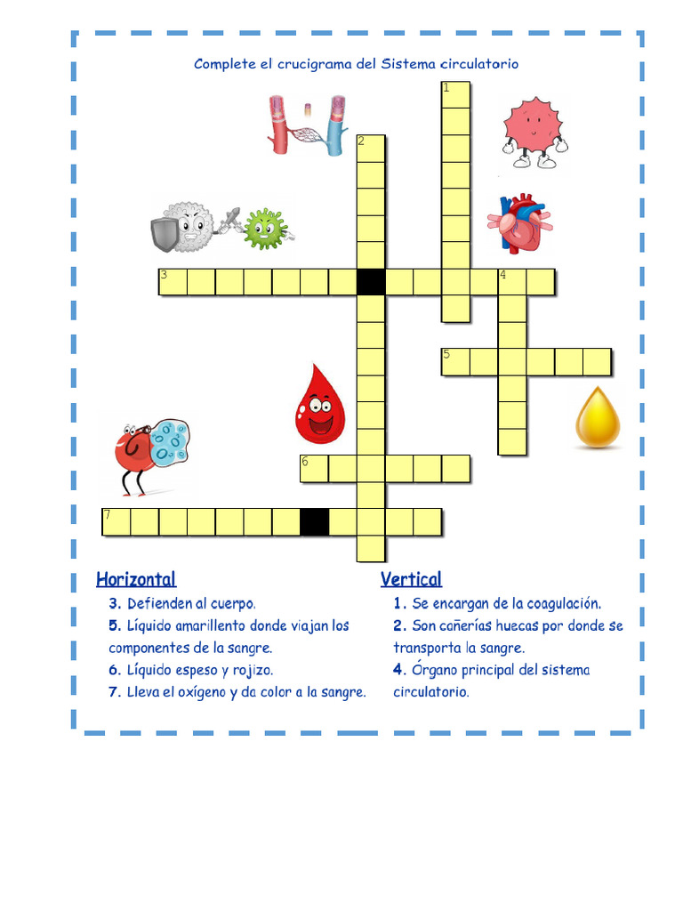 Crucigrama - Sistema Circulatorio | PDF